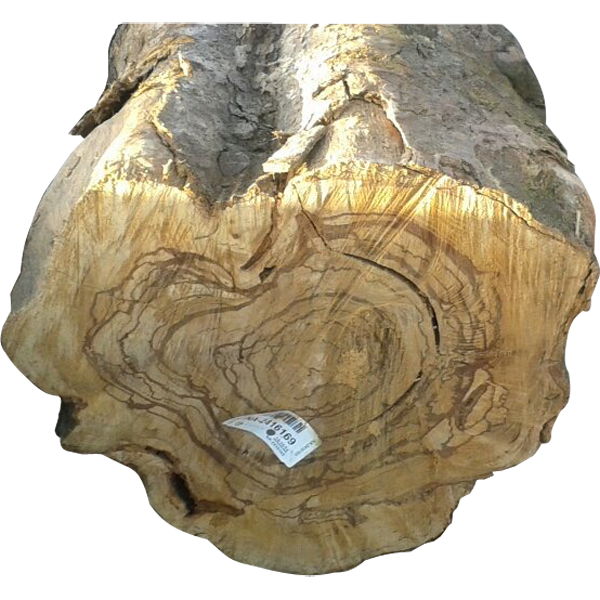 Marblewood – Amazon Exotic Hardwoods